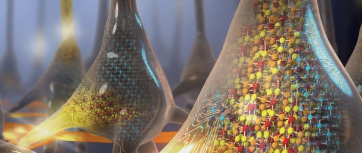 IBM anuncia la construcción de las primeras neuronas artificiales ...